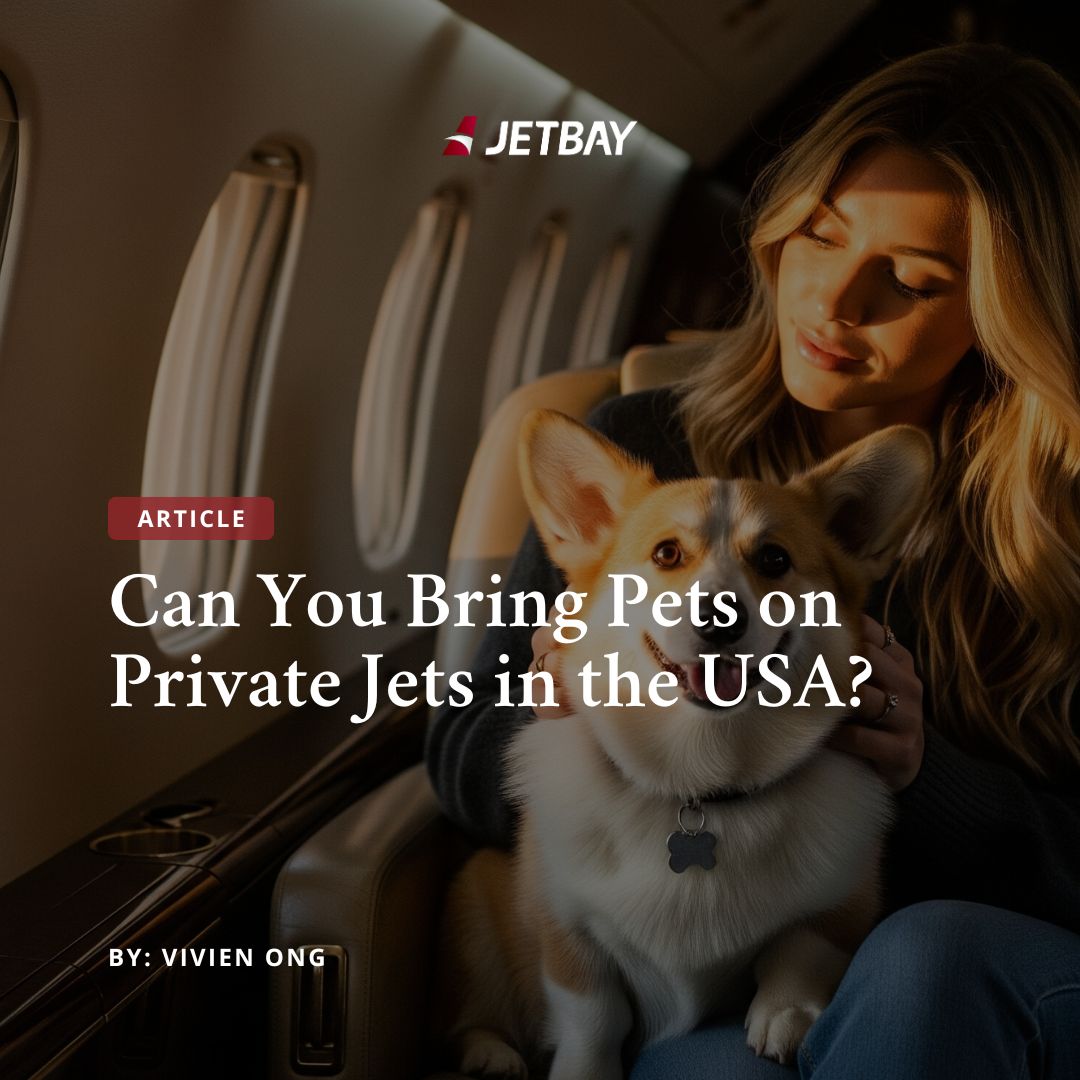 Bring pets on private jets in the US with ease. Discover allowed ...